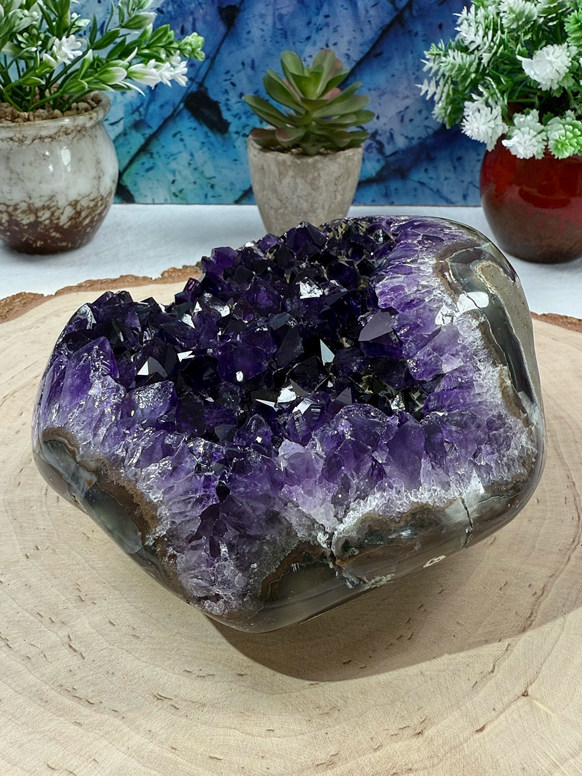 Amethyst Cluster In Host Matrix | David Essery - New Moon Art