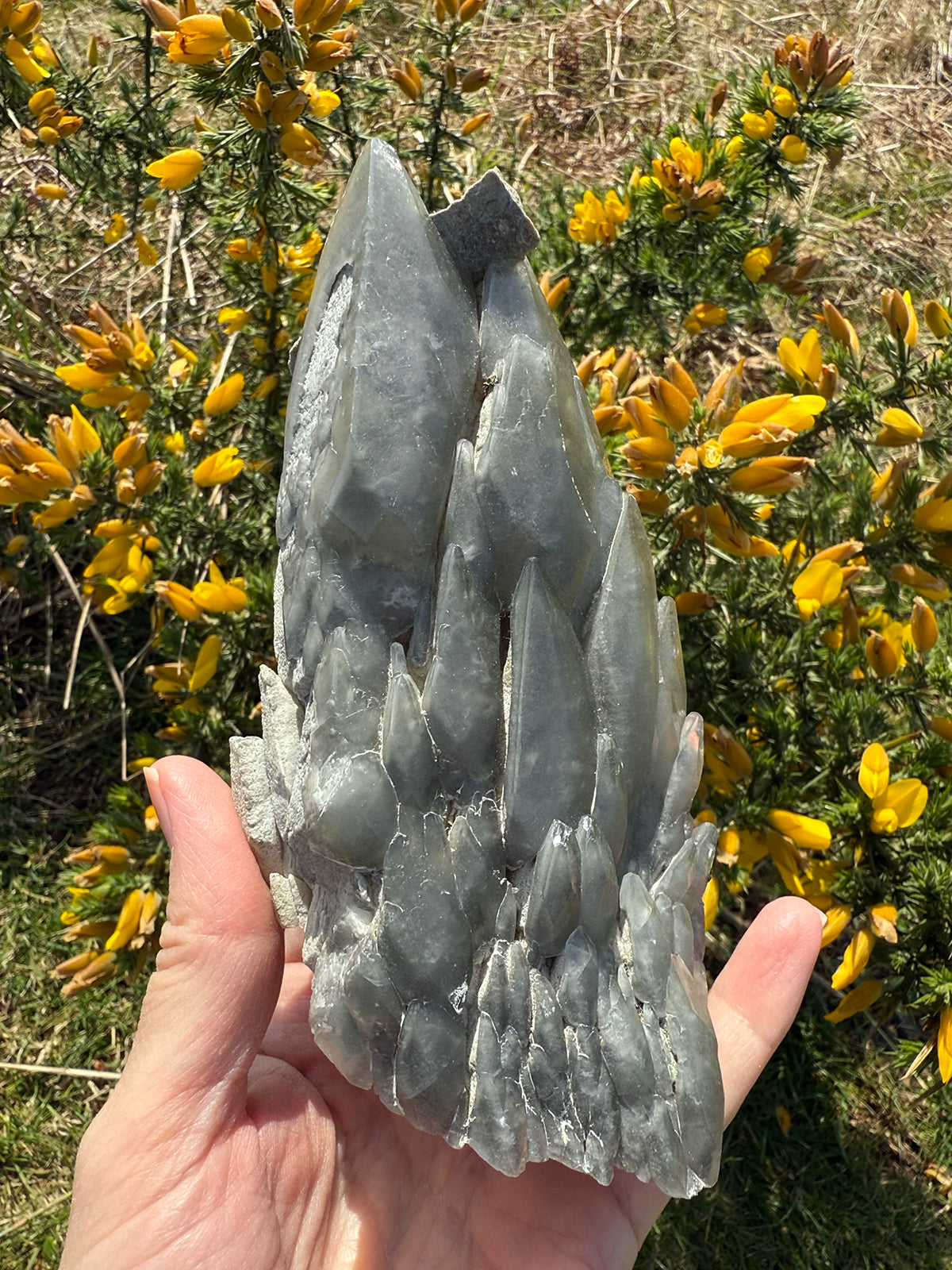 Rare Dragon Scale Calcite | David Essery - New Moon Art